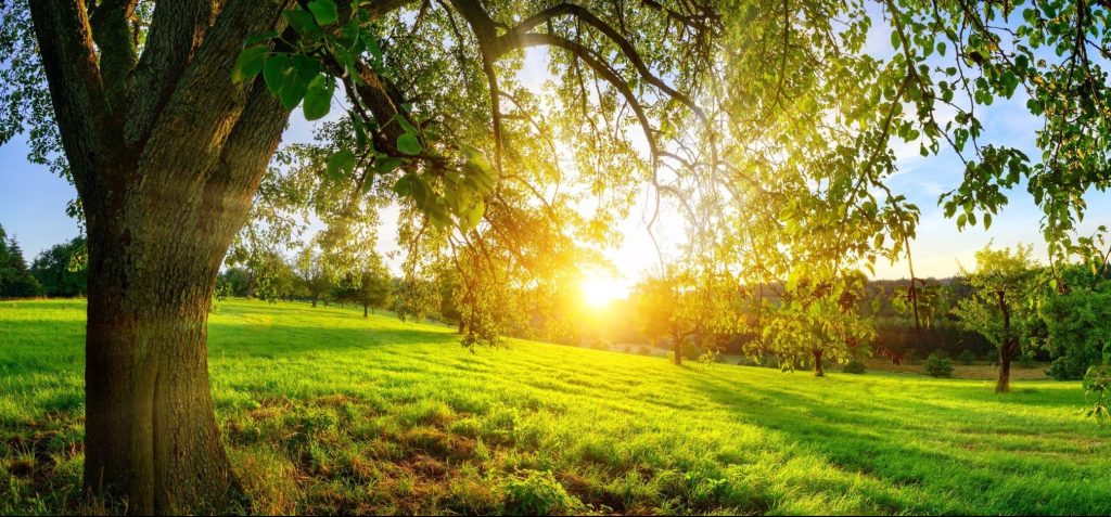 Matthew Orso - First National Bankers Bank